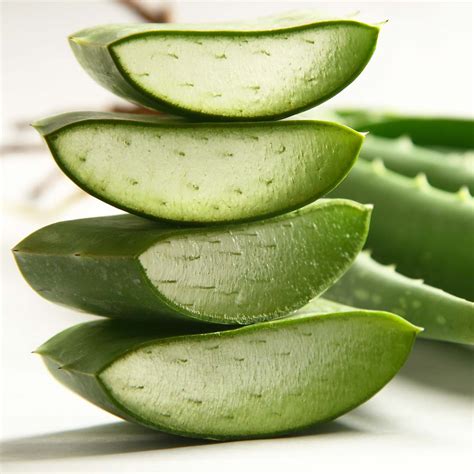 알로에베라잎수 W H 원료 Ingredients Ctkclip 알로에베라잎수 W H 원료 Ingredients Ctkclip