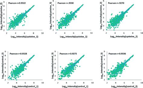 correlation analysis of the protein intensity log 10 transformed of