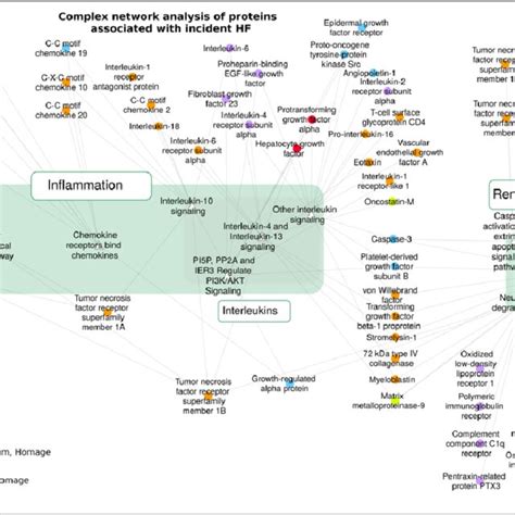 Complex Network Analysis Of Significant Protein Biomarkers