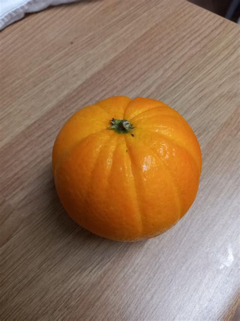 This Orange With Segment Markings On The Peel Rmildlyinteresting