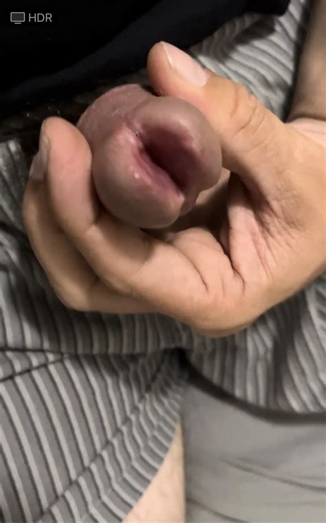 Split Dick Tip Pics XHamster