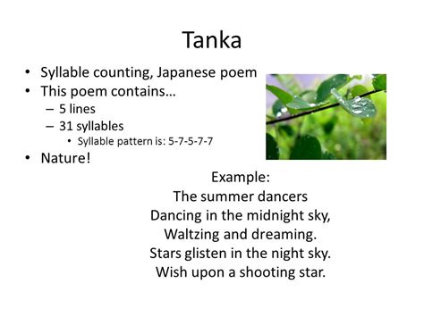 Tanka Poems Examples 5 7 5 7 7