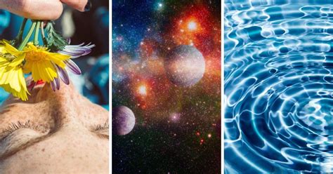 The Intj Cognitive Function Stack Cognitive Function Intj Cognitive