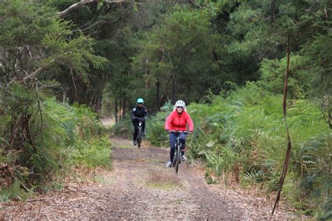 Fully Supported Rail Trail Cycle Tour Along 6 Of The Best Victorian