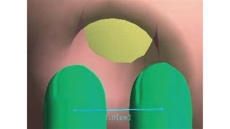 Virtual Reality Vaginal Exam Model Ⅱ LM N Koken Co Ltd