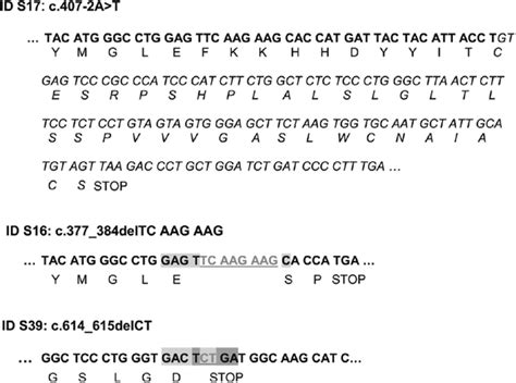 Sequences Of The Mutations Generating Premature Termination Codons Download Scientific Diagram
