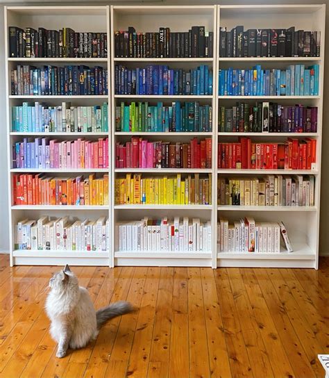 Rainbow Book Shelf With A White Cat Sitting In Front Of It Library