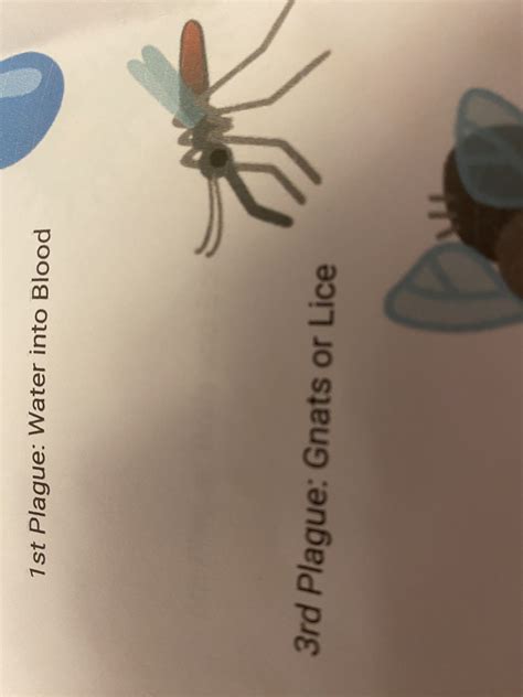 3rd Plague Gnats Or Lice By Jessieschutter On Deviantart