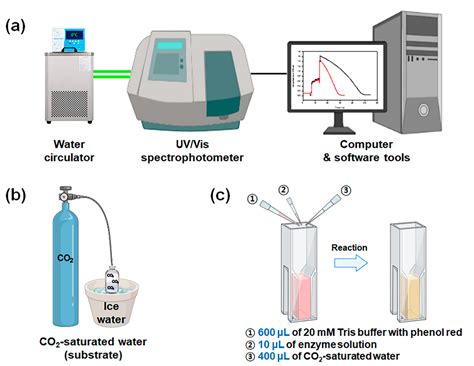 Colorimetric Assay Method At Iva Blackburn Blog