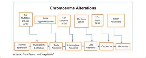 Summarization Of The Crc Pathway 9 Crc Colorectal Cancer Download Scientific Diagram