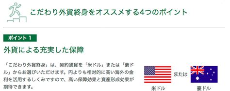 8月1日販売開始〜マニュライフ生命「こだわり外貨終身」 K2 Assurance 保険代理店、fpのための海外保険ブログ