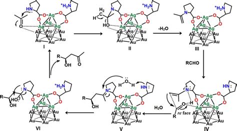 清华大学王泉明教授团队jacs：脯氨酸修饰的金属纳米团簇中金属催化和有机催化的集成 X Mol资讯