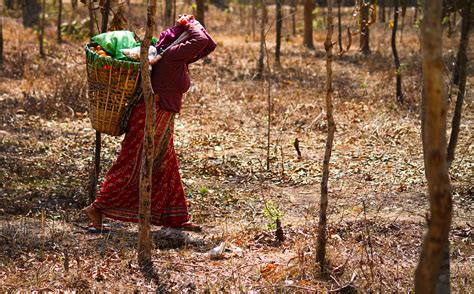 Human Wildlife Conflict Impact On Conservation Land Use Author