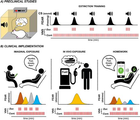 A Schematic Of The Rationale For The Translation Of VNS Into A Clinical