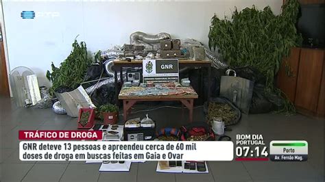Gnr Detém 13 Pessoas Em Operação Contra O Tráfico De Droga