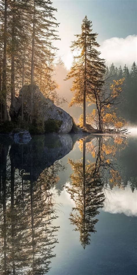 Mirror Reflection Of A Lake Surrounded By Trees And Fog Mystische