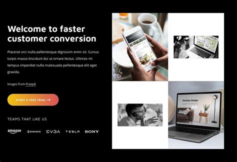 Customer Conversion Html Code Example By Nicepage