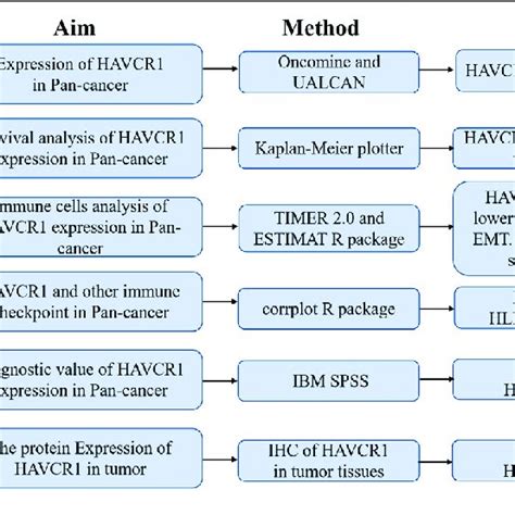 Workflow Chart For This Study Download Scientific Diagram