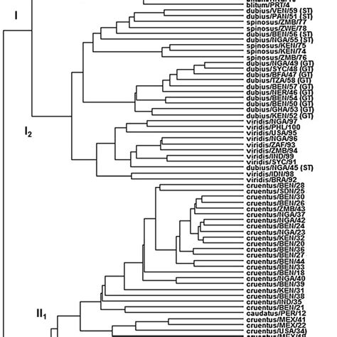 Phenogram Based On Gowers Dissimilarity Showing Relationships Among