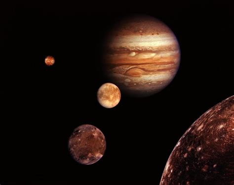 Asociación De Educación Ambiental El Bosque Animado Júpiter Y Saturno