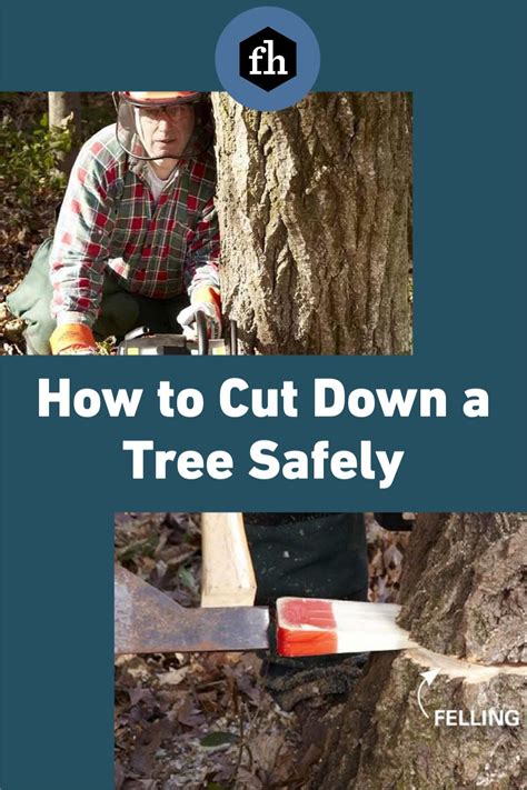 How To Cut Down A Tree Safely Artofit