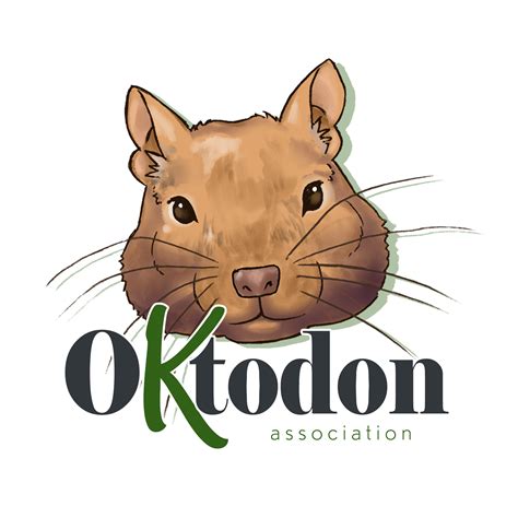 Nouveau Guide De L Octodon Degus Edition 2024 Oktodon