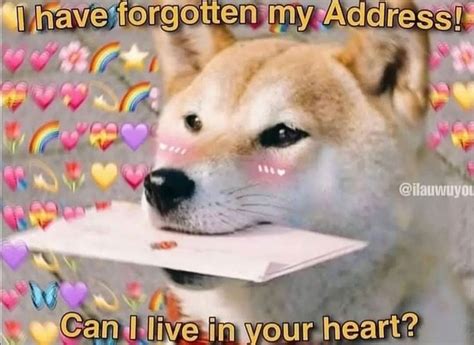 Pin By K On You Meme A Lot To Me Wholesome Memes Cute Memes