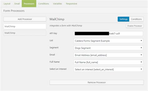 Mailchimp Processor Settings Wordpress Form Builder Caldera Forms