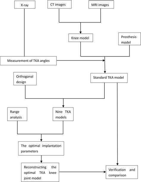 Construction Of The Tka Knee Joint Model And Its Optimization Using