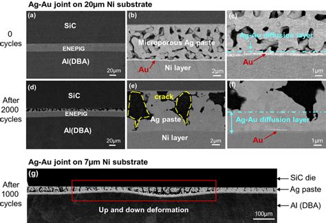 Microstructure Evolution Images Before And After Thermal Shock Cycles Download Scientific