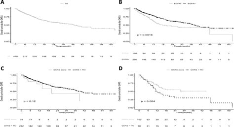 Kaplanmeier Analysis Of Overall Survival Rates Among Patients With