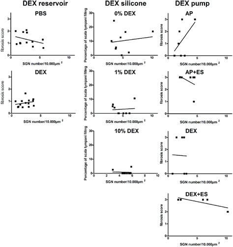 Correlation Assessment Of SGN Number And Amount Of Fibrosis The SGN Download Scientific