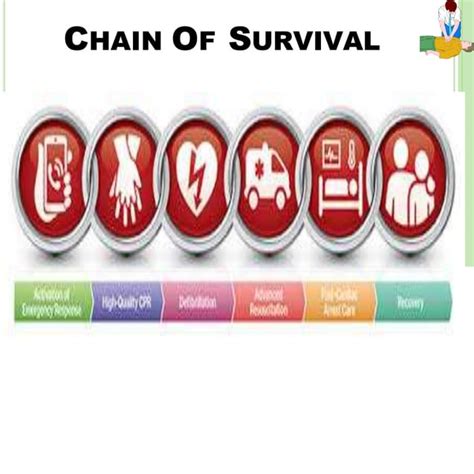 Bls For Under Graduates As Per Aha Guidelines Pdf