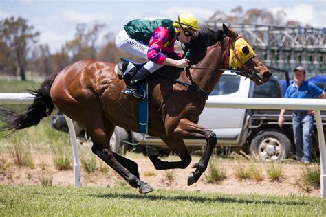 Mansfield Races Melbourne Cup Day 2017 Sandra Lee Photography