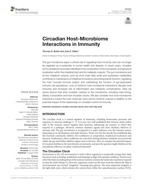 Pdf Circadian Host Microbiome Interactions In Immunity