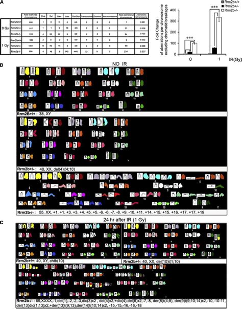 Increased Numerical And Structural Chromosome Abnormalities In