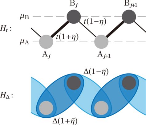 Schematic Illustration Of The Sc Ssh Model Top Ssh Model With Download Scientific Diagram