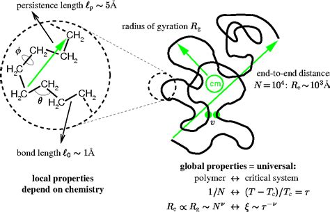 Figure 1 From Monte Carlo Simulation Of Polymers Coarse Grained Models Semantic Scholar