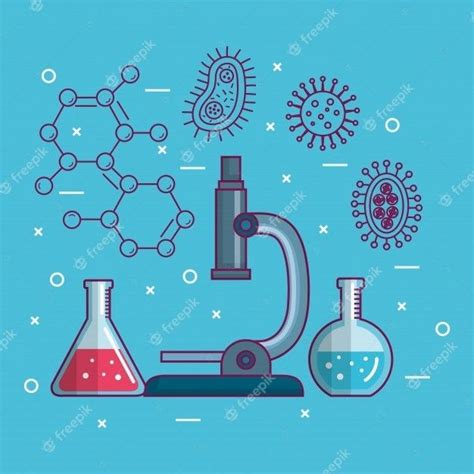 Las Ramas De La Ciencia Flashcards