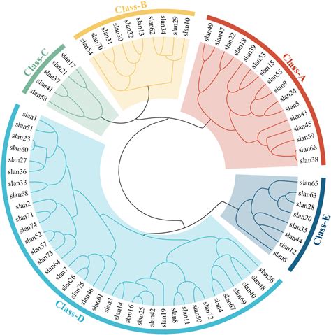 Matlab 超多样式聚类分析树状图任你选择~~matlab聚类效果图 Csdn博客