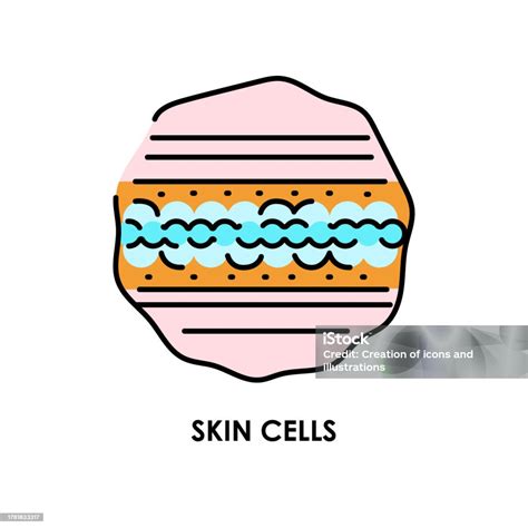 Skin Cells Color Line Icon Microorganisms Microbes Bacteria Stock Illustration Download Image