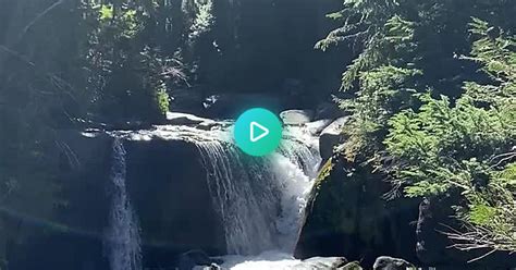 Mt Rainier National Park Washington State Album On Imgur