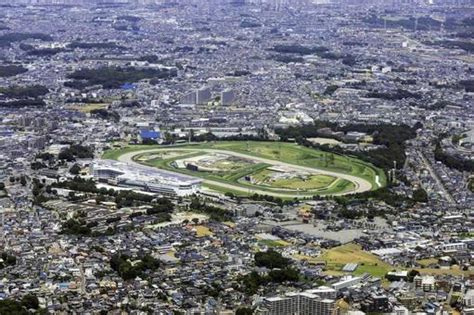 有馬記念の写真素材｜写真素材なら「写真ac」無料（フリー）ダウンロードok