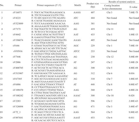 List Of Sequences Of Ssr Primer Pairs Used In The Validation Of Ssr