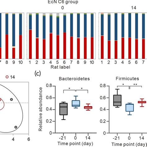 Ecn C6 Alleviates Gut Microbiota Dysbiosis In Hyperuricemia Rats A