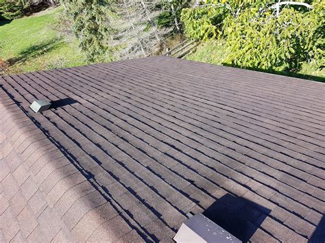 Burnaby Moss Removal Moss Control Burnaby Bc