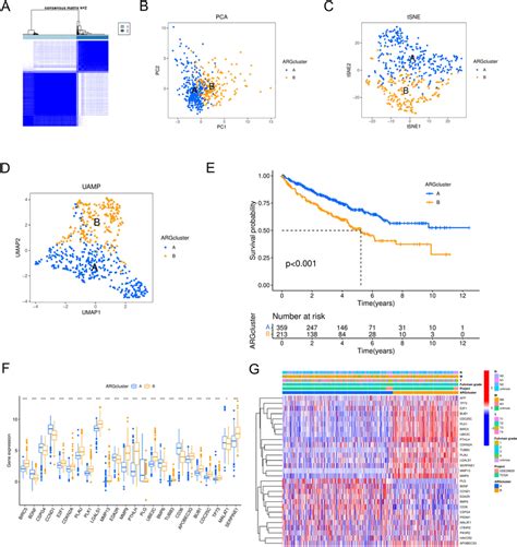 Differential Expression And Unsupervised Clustering Analysis Of