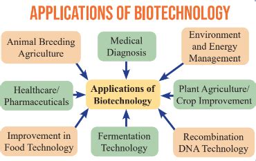 Biotechnology And Its Applications In Agriculture And Medicine