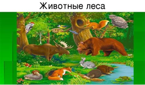 Доклад Животные леса 1 3 класс окружающий мир как сделать