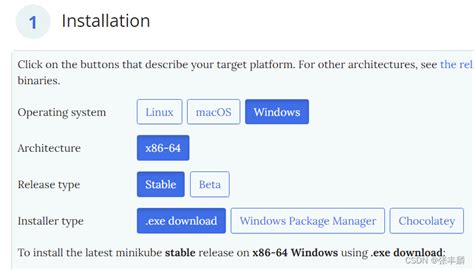 （详细步骤各项报错处理）windows11 安装docker和部署k8s单节点（minikube）windows11 Docker Csdn博客